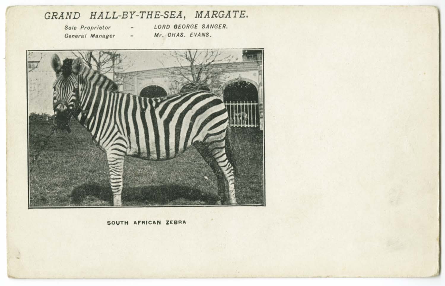 Dreamland and Hall by the Sea | Margate History