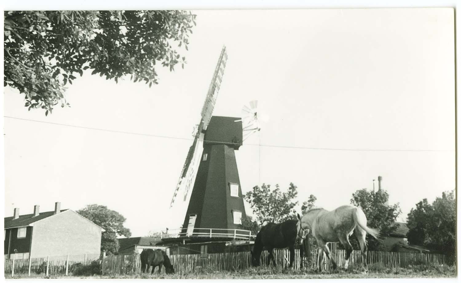 Drapers Mills Margate | Margate History